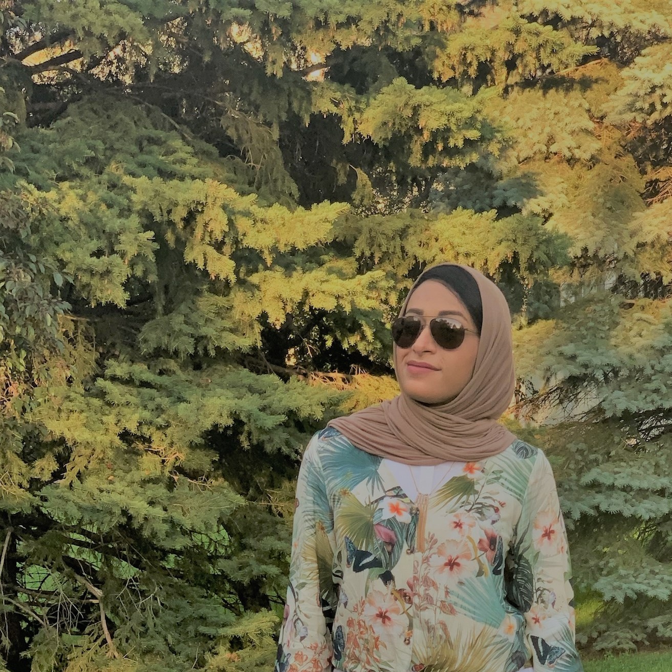 Students – Illusioneering Lab